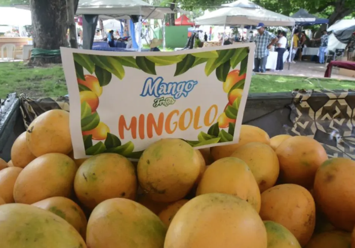 Baní se viste de mango: regresa Expo Mango 2025 con sabor, tradición e ...